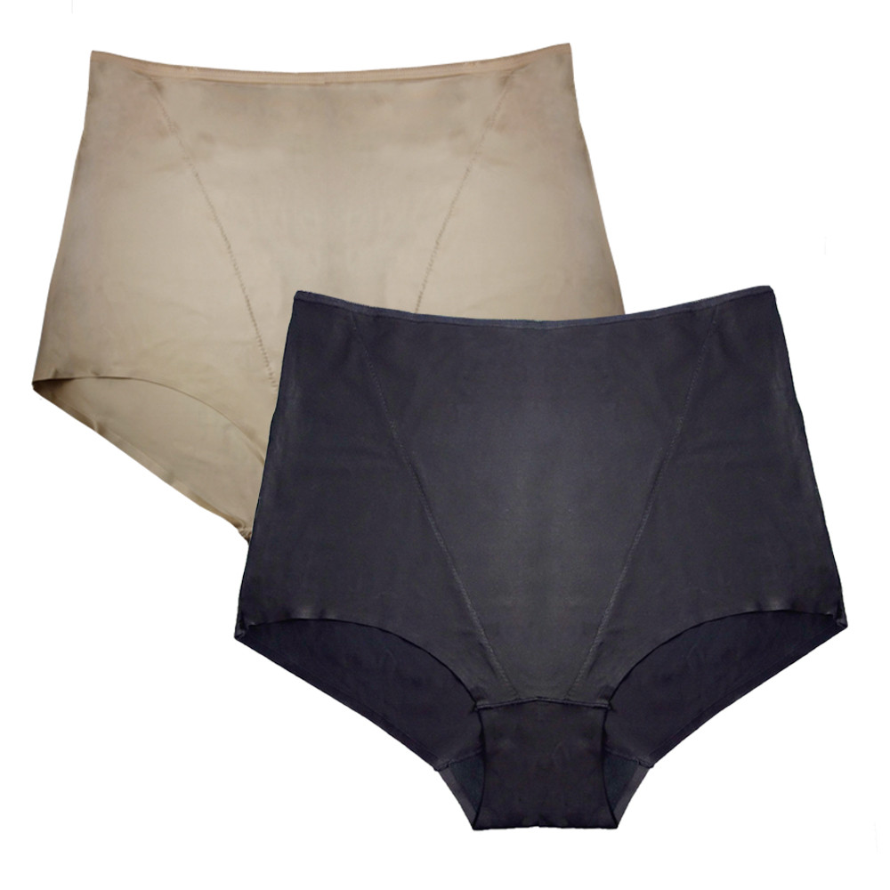 Firm Control Brief / Plus Size - 2 pk #490X | FEM Intimates